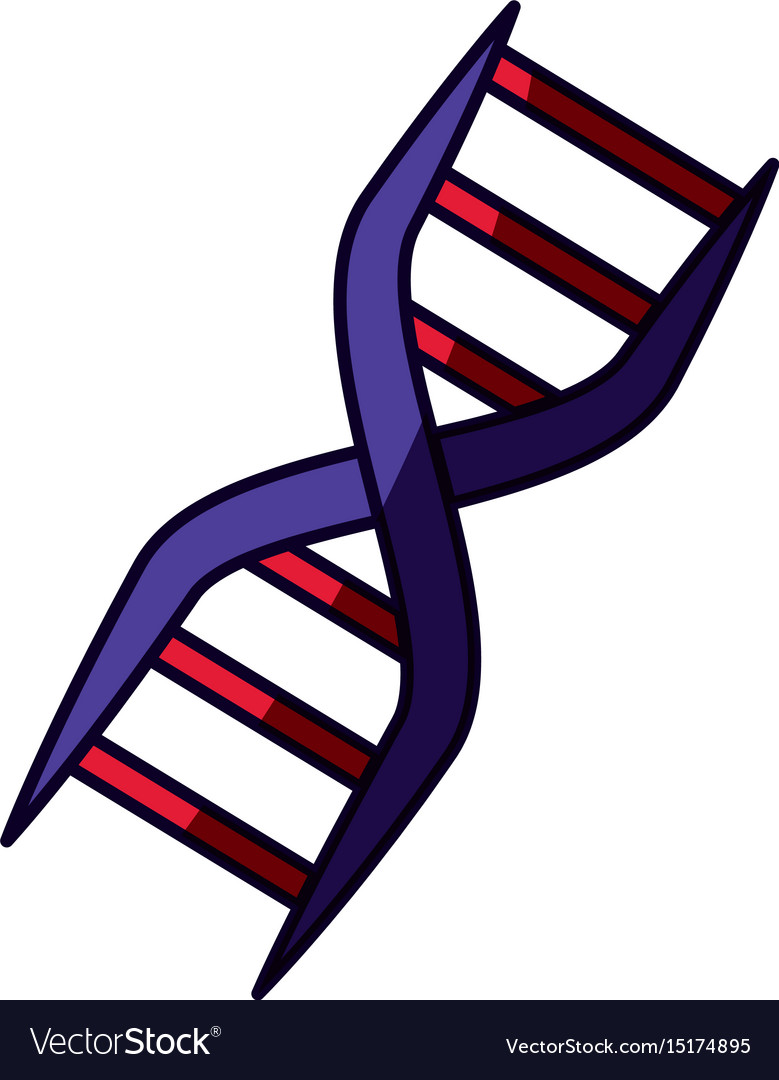 Genetic code Royalty Free Vector Image - VectorStock