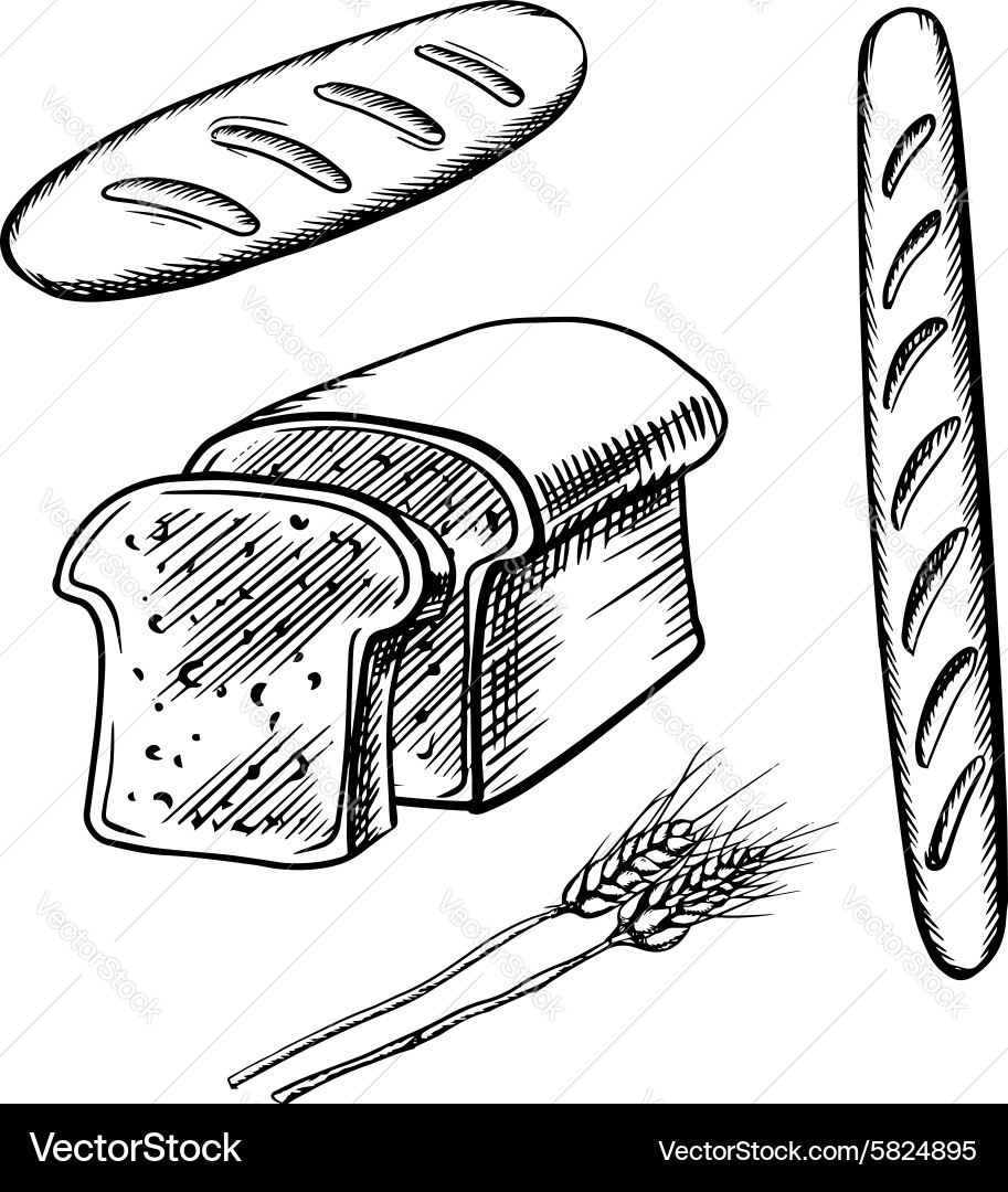 Sliced bread long loaf and baguette Royalty Free Vector