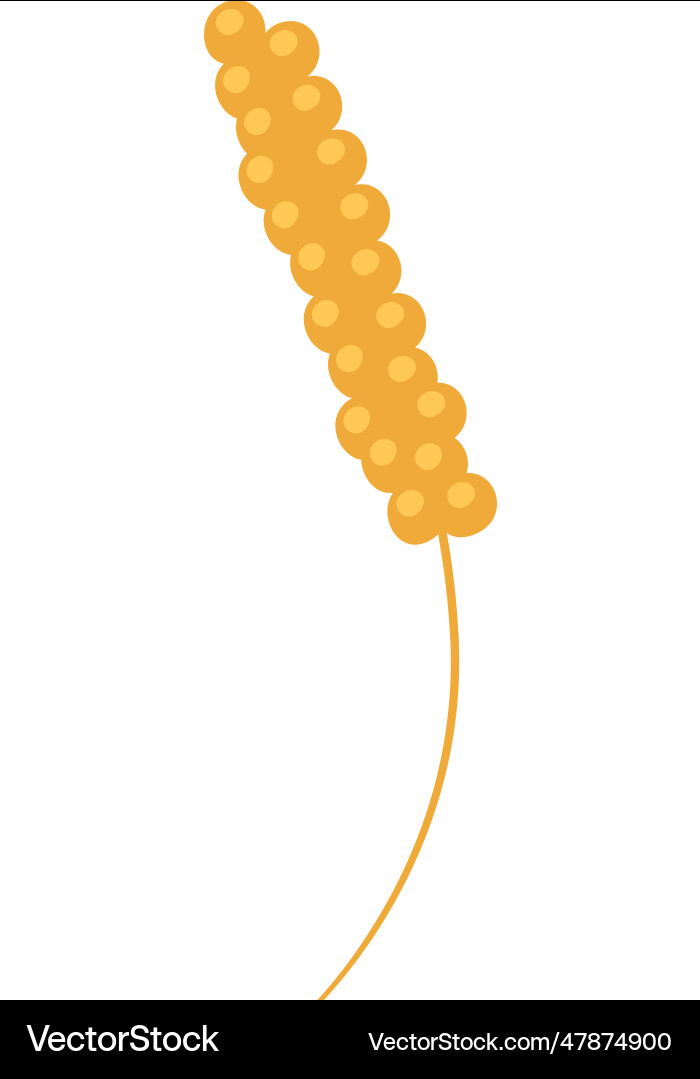 Ear of millet Royalty Free Vector Image - VectorStock
