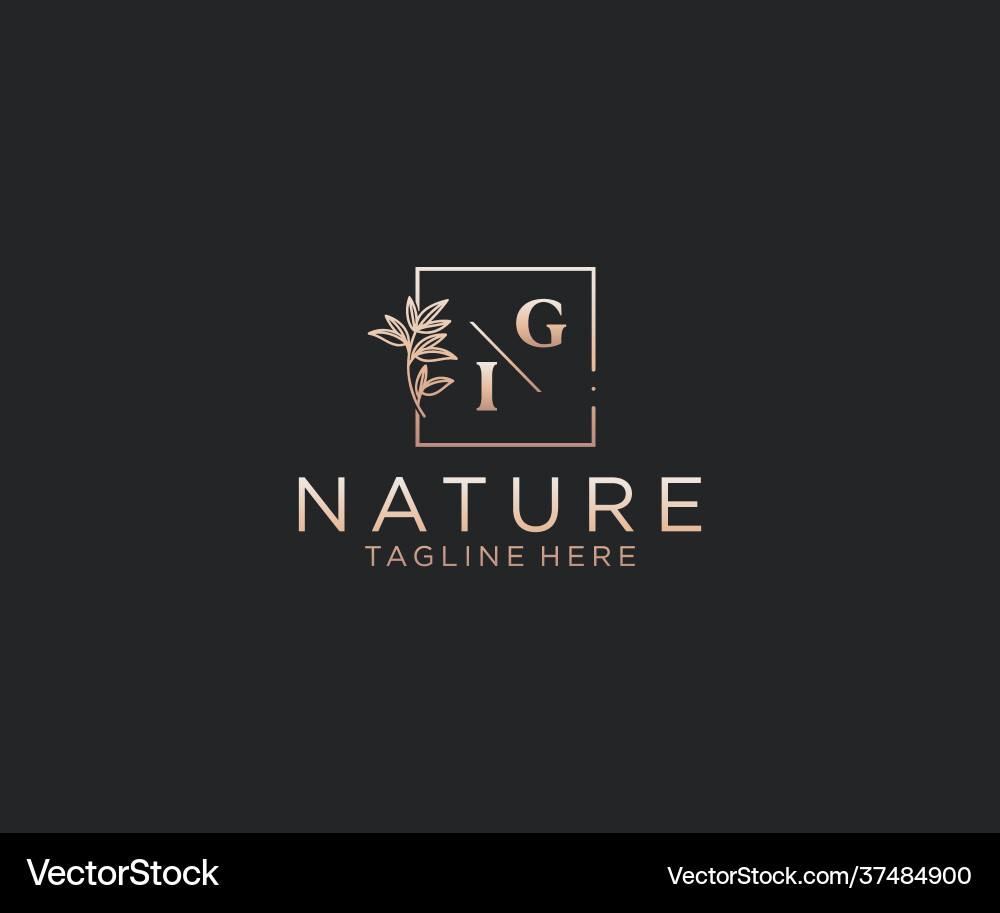 Initial gi letters beautiful floral feminine Vector Image