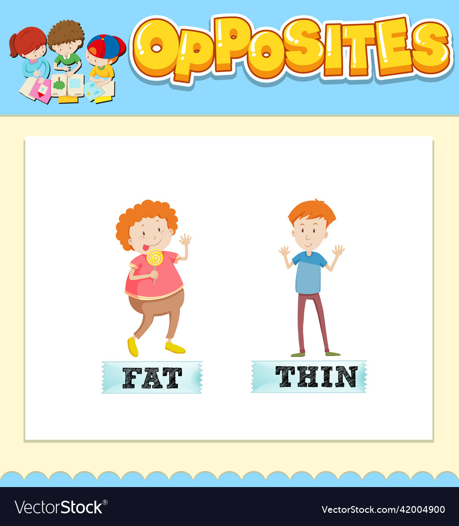 Opposite Words For Fat And Thin Royalty Free Vector Image