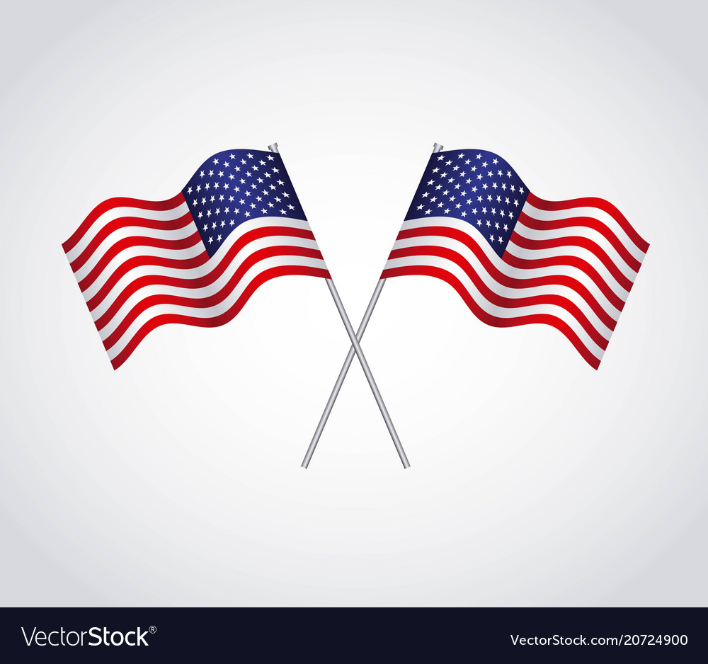 Usa flag design Royalty Free Vector Image - VectorStock