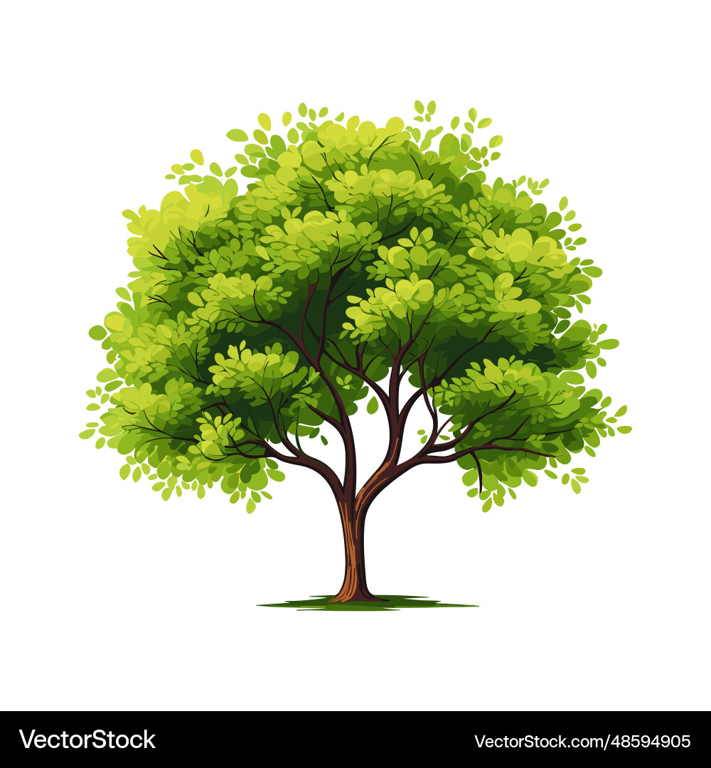 Cartoon Tree on White Royalty Free Vector Image