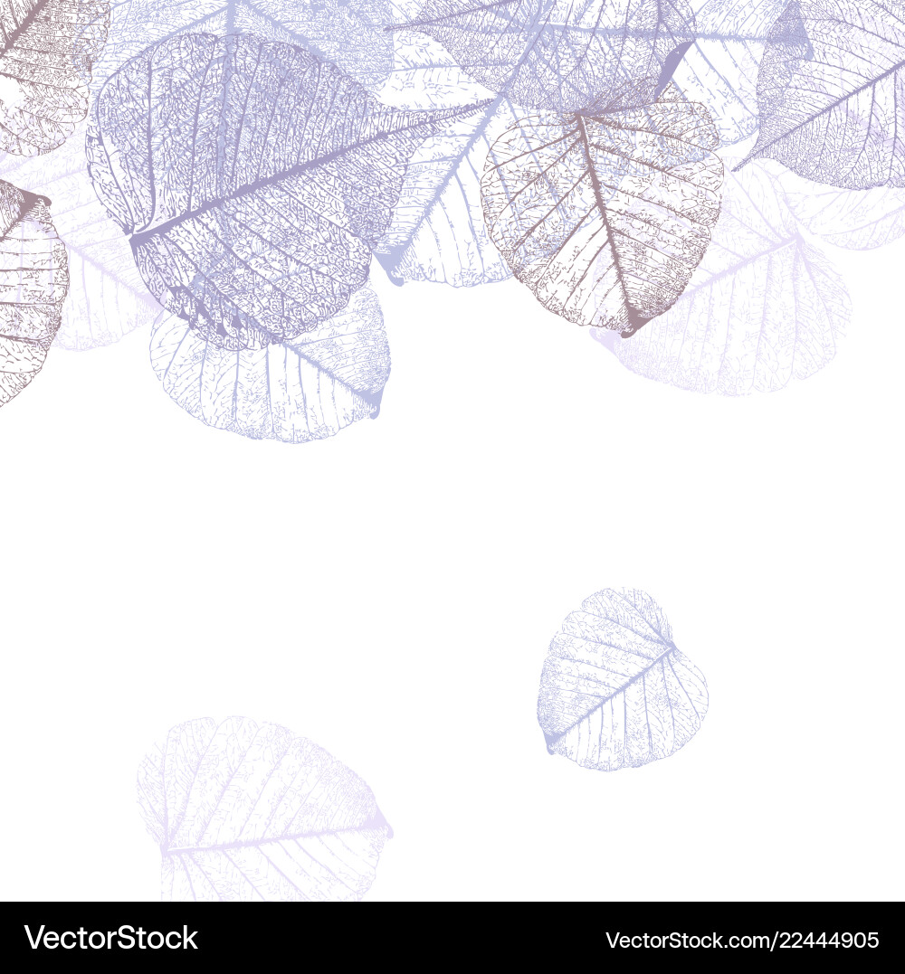 Festive winter background with frame hoarfrost Vector Image