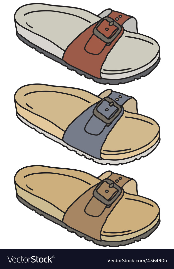 Slippers Royalty Free Vector Image - VectorStock