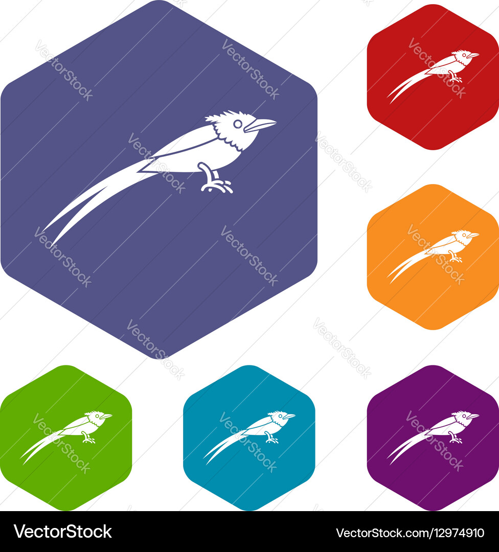 Asian paradise flycatcher icons set Royalty Free Vector