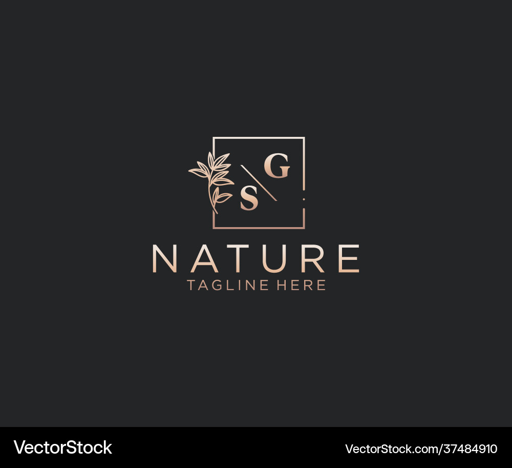 Initial gs letters beautiful floral feminine Vector Image