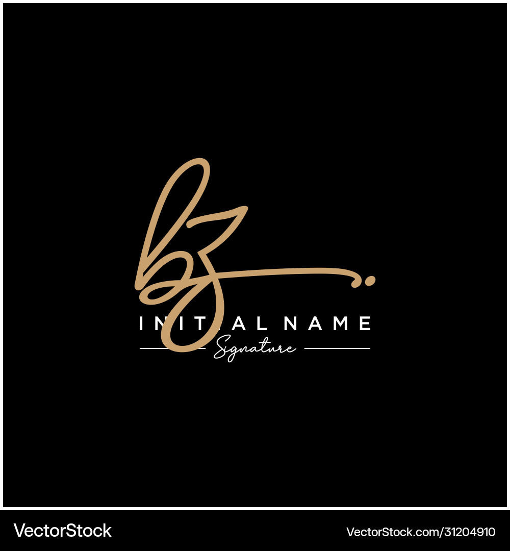 Letter bz signature logo template Royalty Free Vector Image