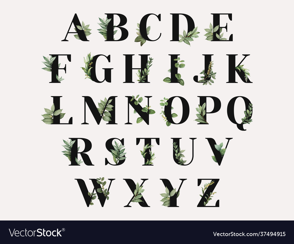 Botanical themed alphabet Royalty Free Vector Image