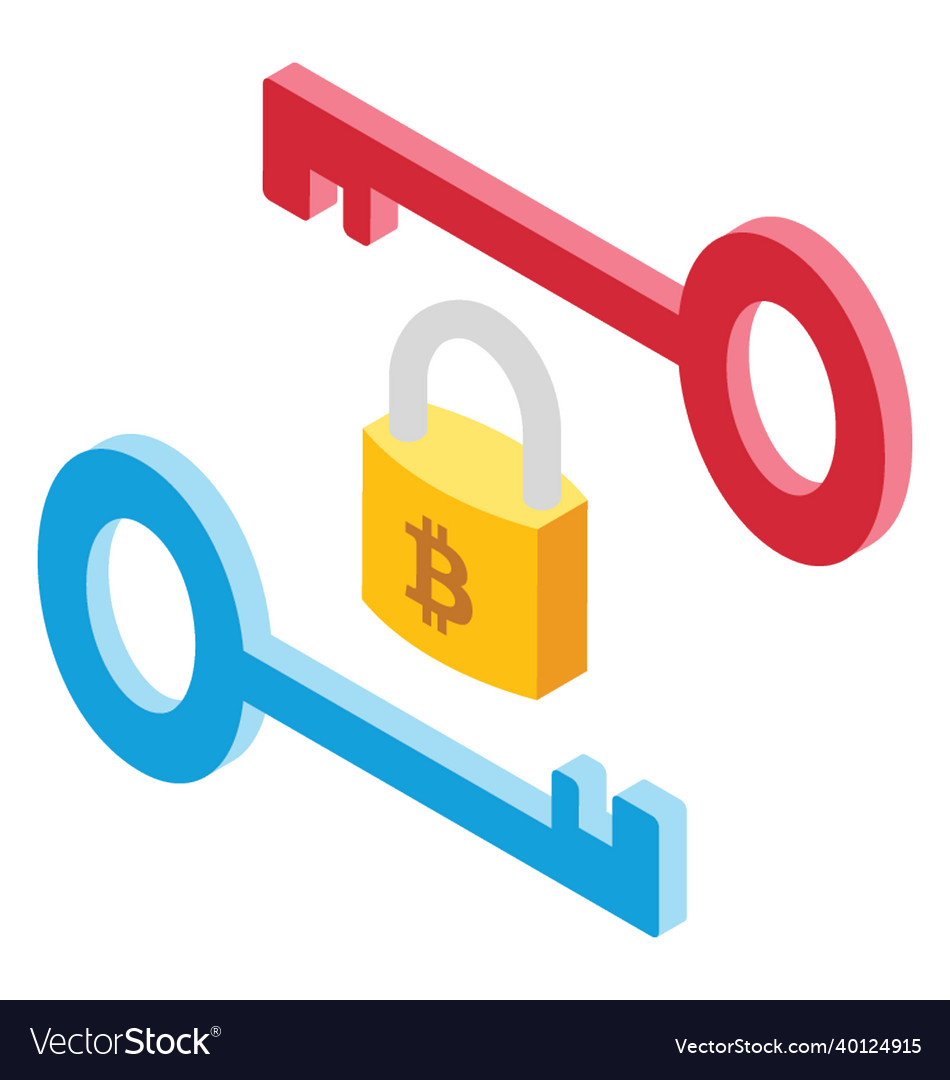 Cryptography key Royalty Free Vector Image - VectorStock Cryptography key Royalty Free Vector Image - VectorStock