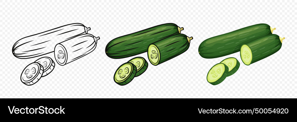 Flat green fresh whole and sliced cucumber Vector Image