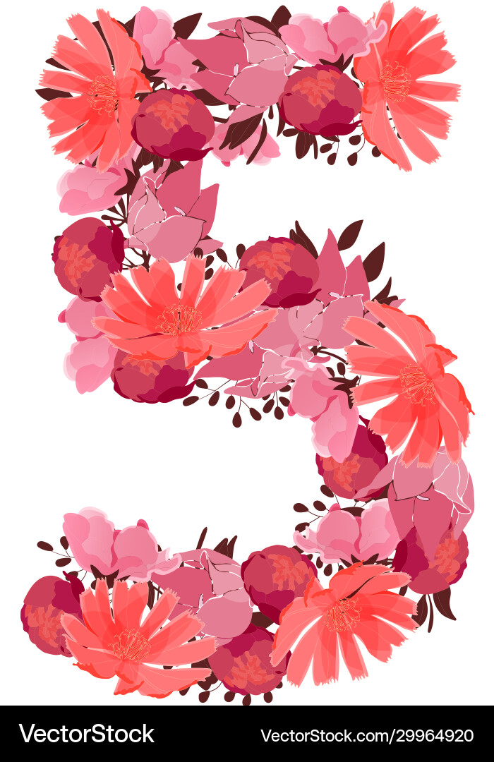 Flower number 5 botanical character figur Vector Image