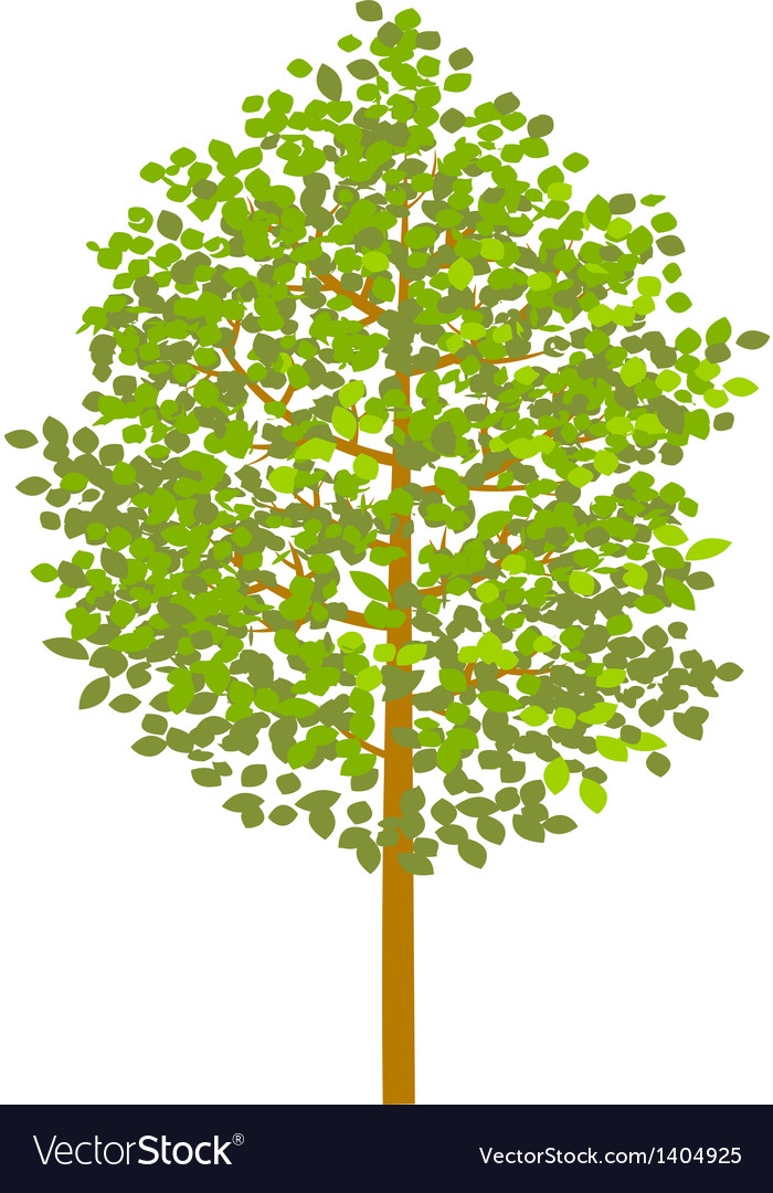 A tree stand Royalty Free Vector Image - VectorStock