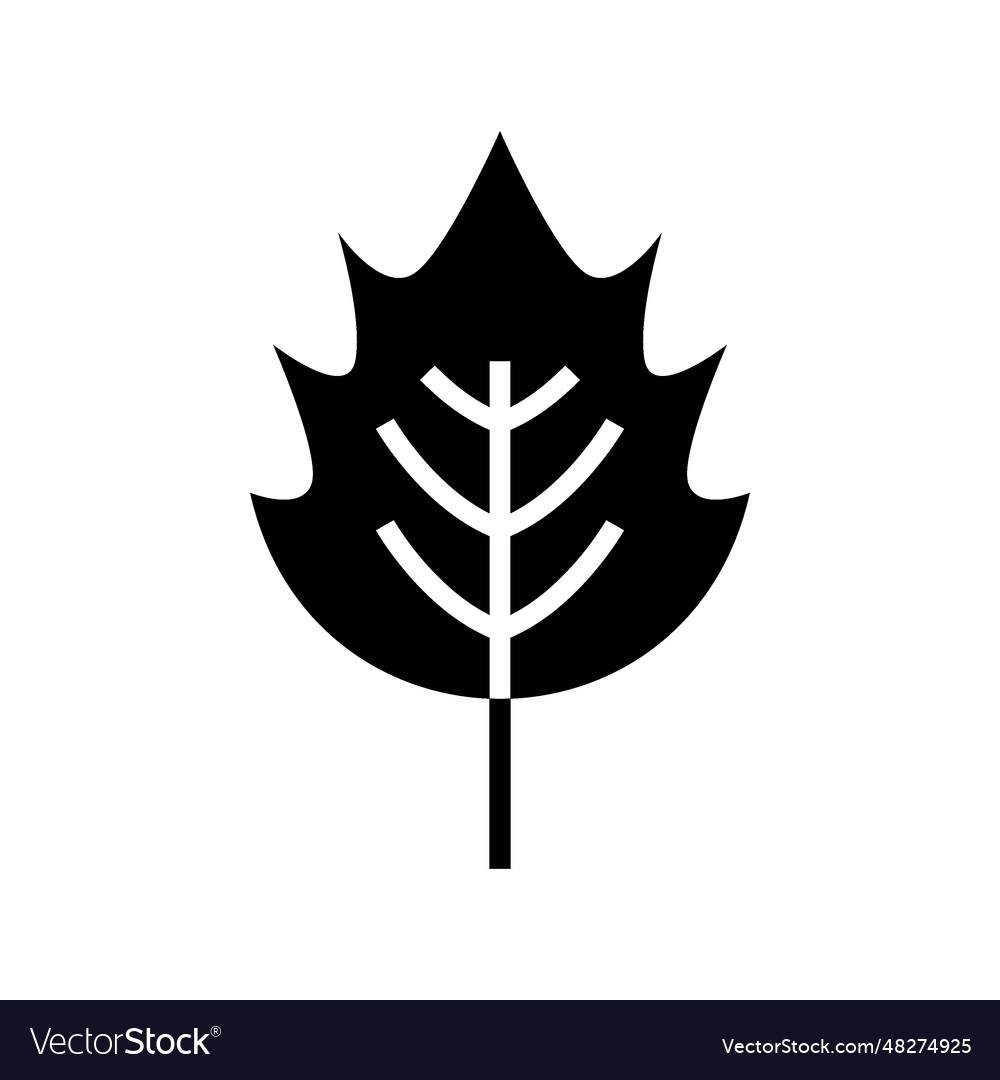 Leaf icon Royalty Free Vector Image - VectorStock