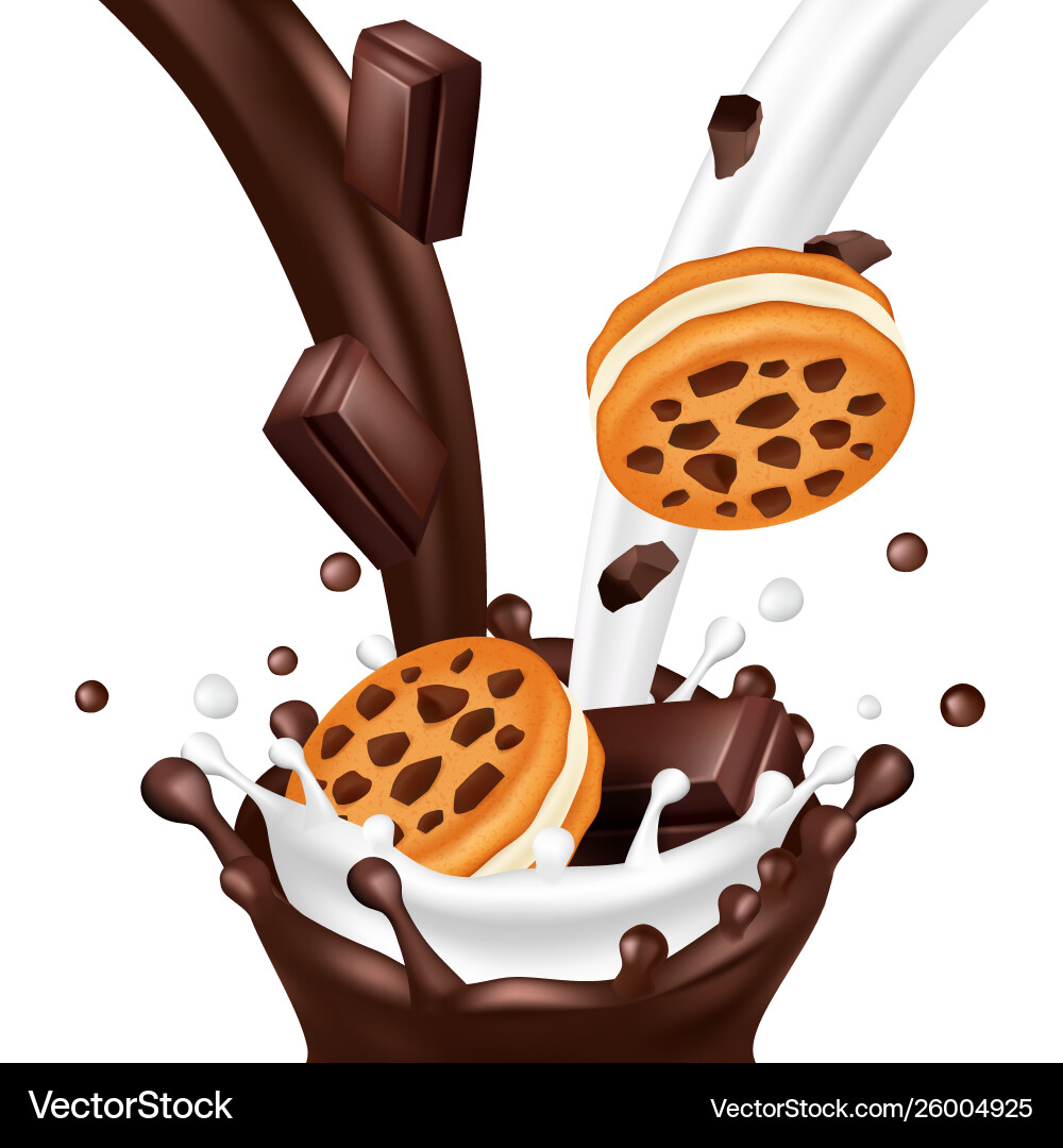 Sweet biscuit with chocolate isolated on white Vector Image