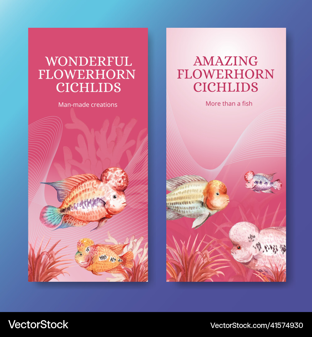 Flyer template with flower horn cichlid fish Vector Image