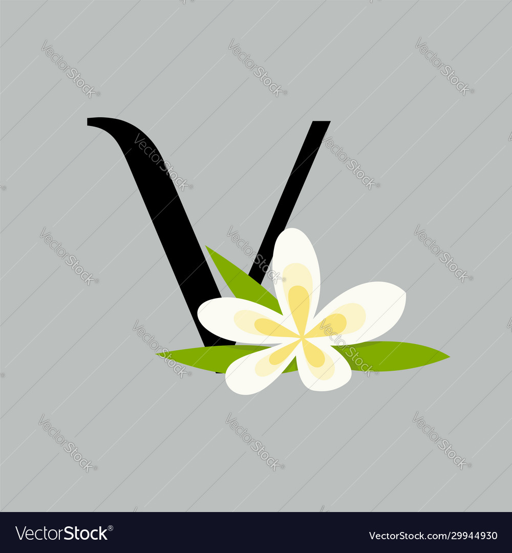 Initial flower v Royalty Free Vector Image - VectorStock