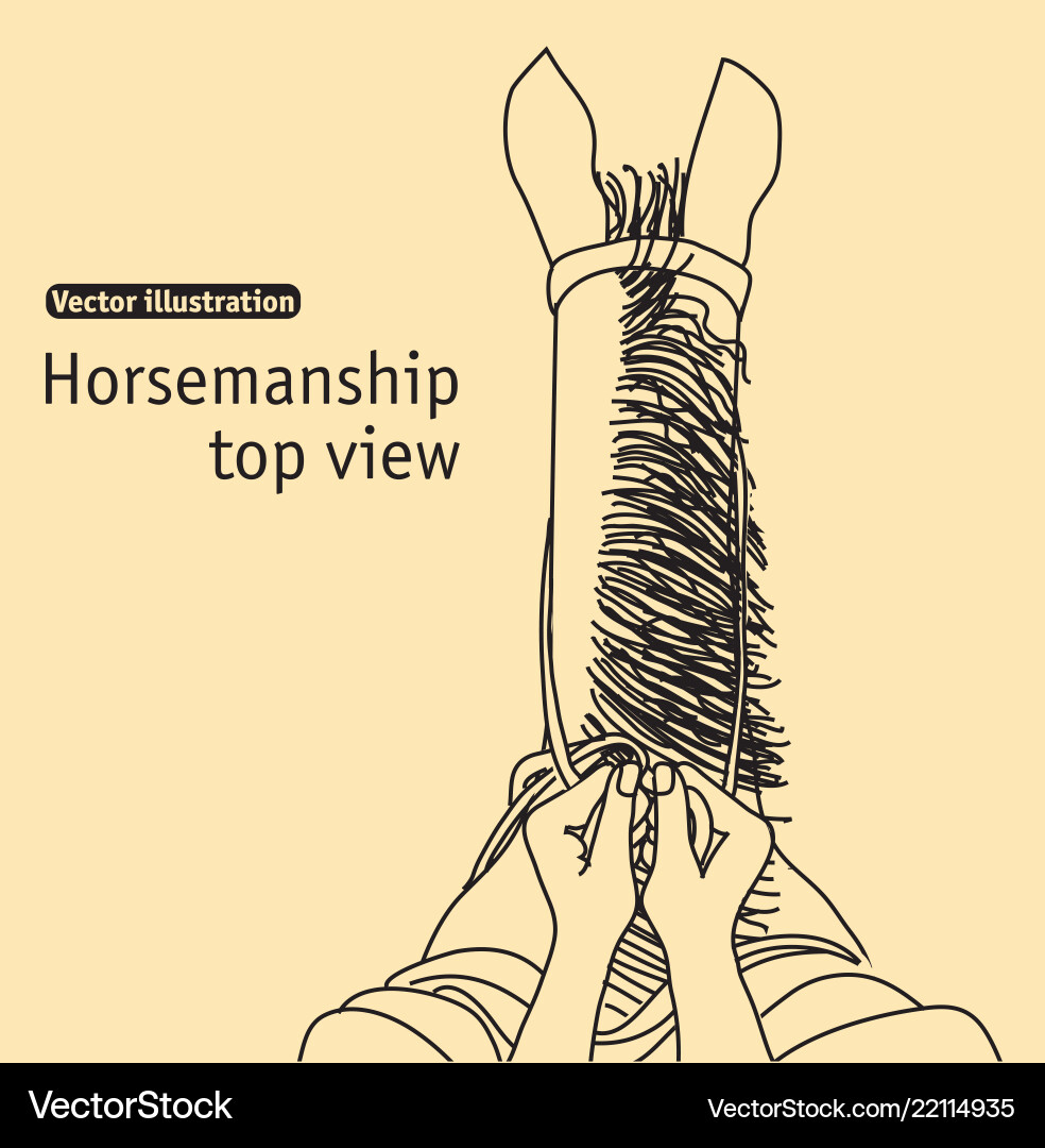 Horseback riding hand black line top view Vector Image