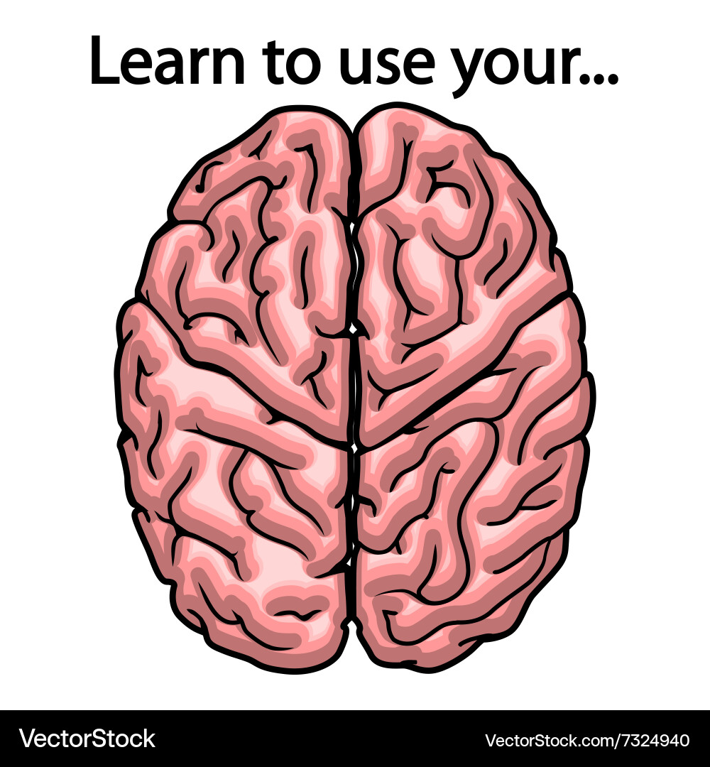 Brain as a symbol of the mind Royalty Free Vector Image