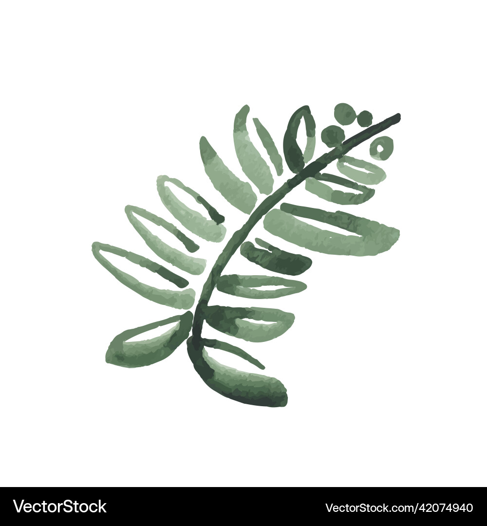 Leaf icons isolated on white background logo sign Vector Image