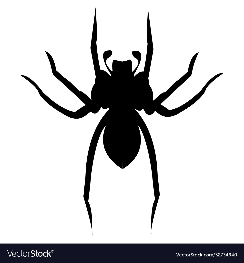 Spider Royalty Free Vector Image - VectorStock