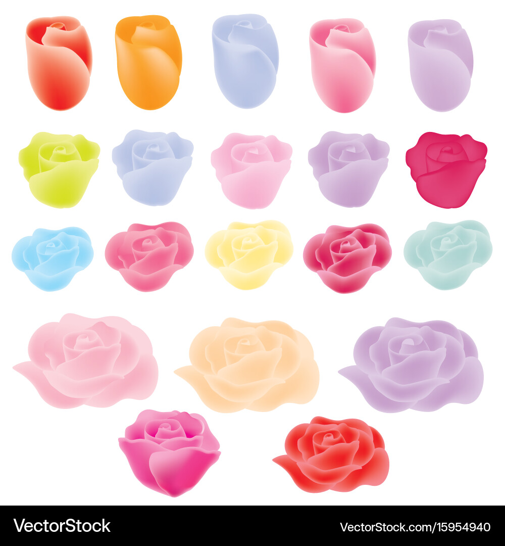 Sweet color roses on white background Royalty Free Vector