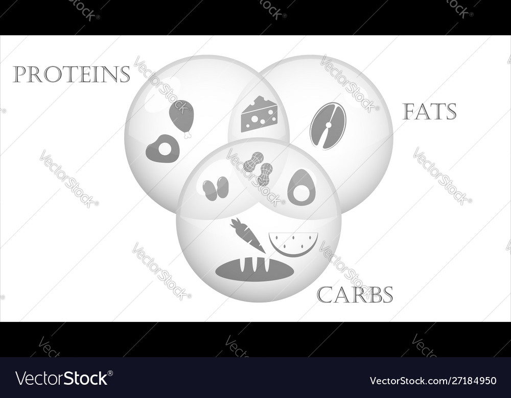 Macro nutrients Royalty Free Vector Image - VectorStock