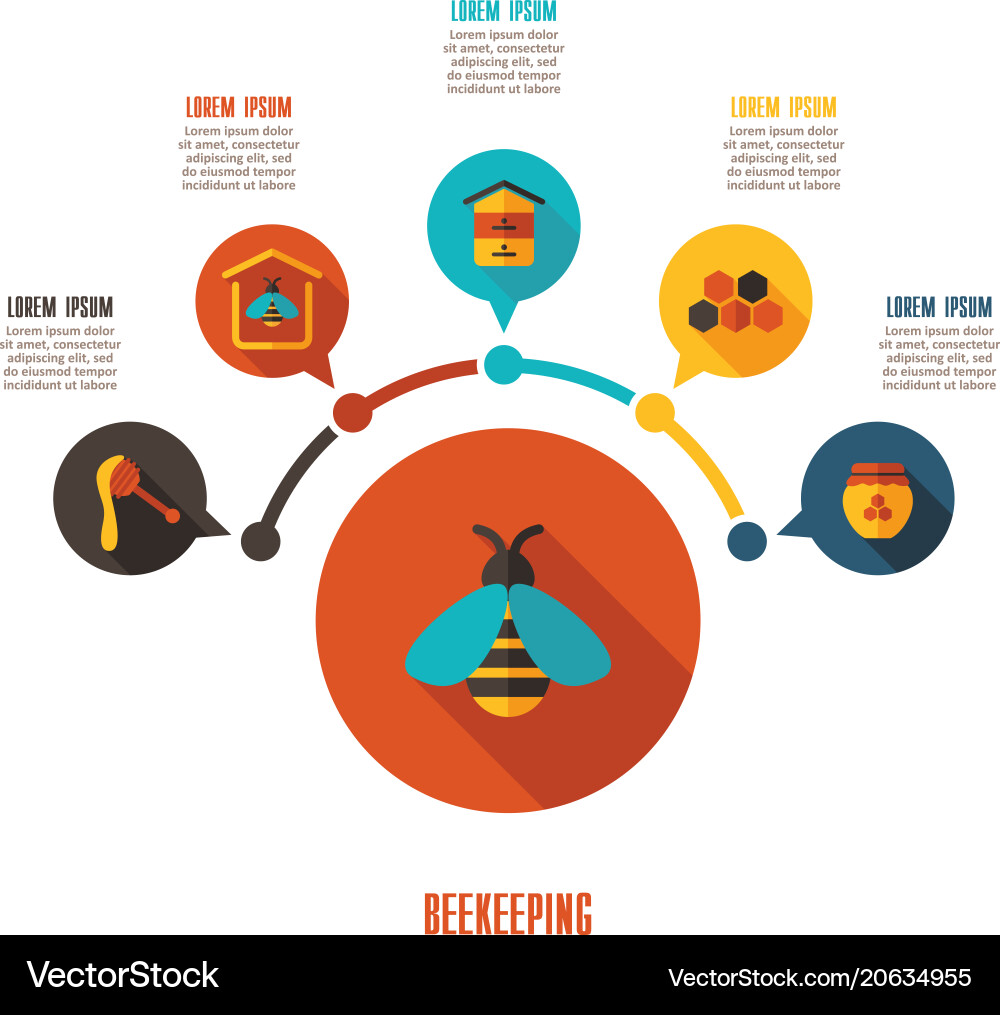 Beekeeping icon and agriculture infographics Vector Image