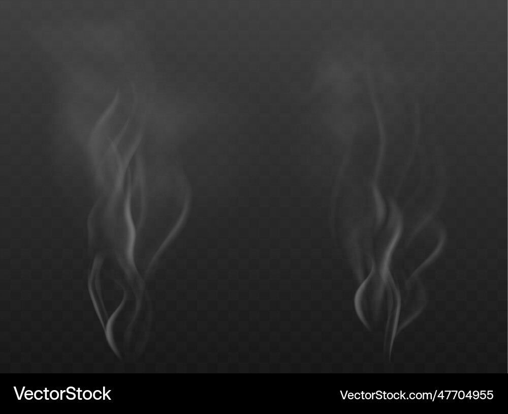 Realistic fog mist effect smoke on dark Royalty Free Vector