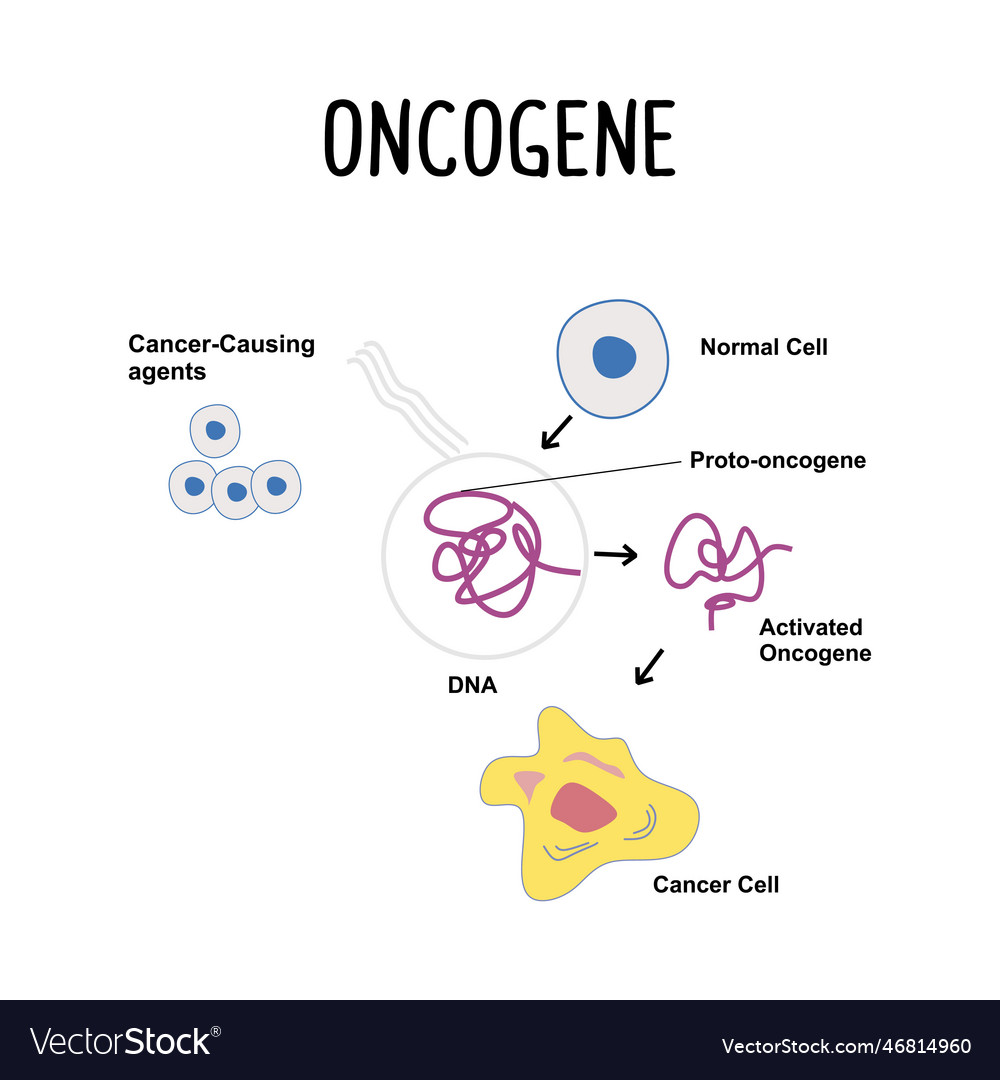 Oncogene a mutated gene that can promote the Vector Image