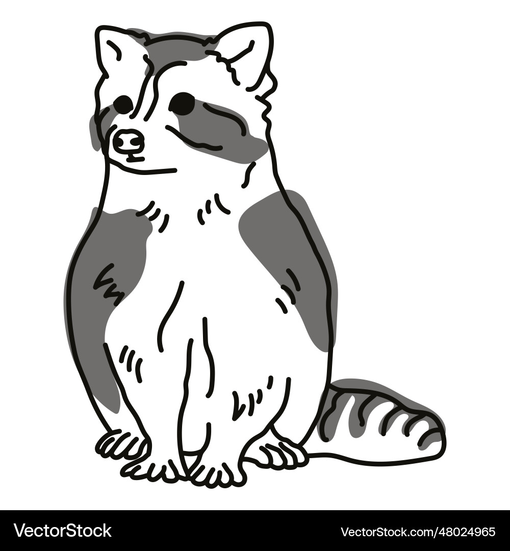 Color stroke semi colored raccoon Royalty Free Vector Image