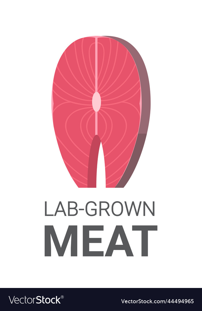 Cultured raw red meat made from animal cells Vector Image