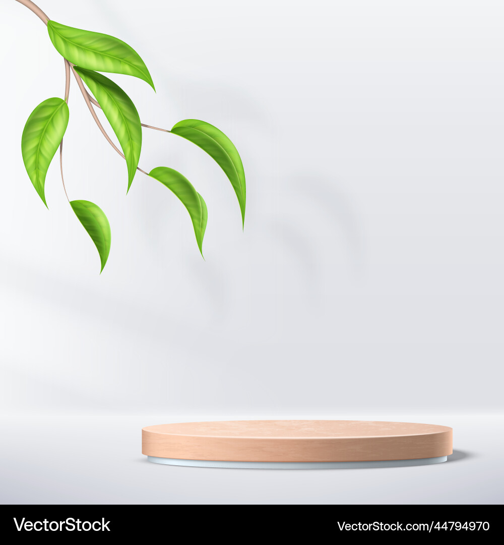 3d cosmetic product display minimal studio podium Vector Image