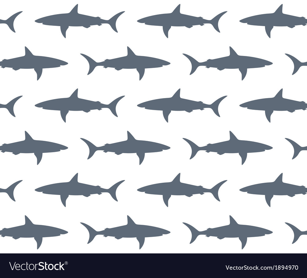 Shark Royalty Free Vector Image - VectorStock