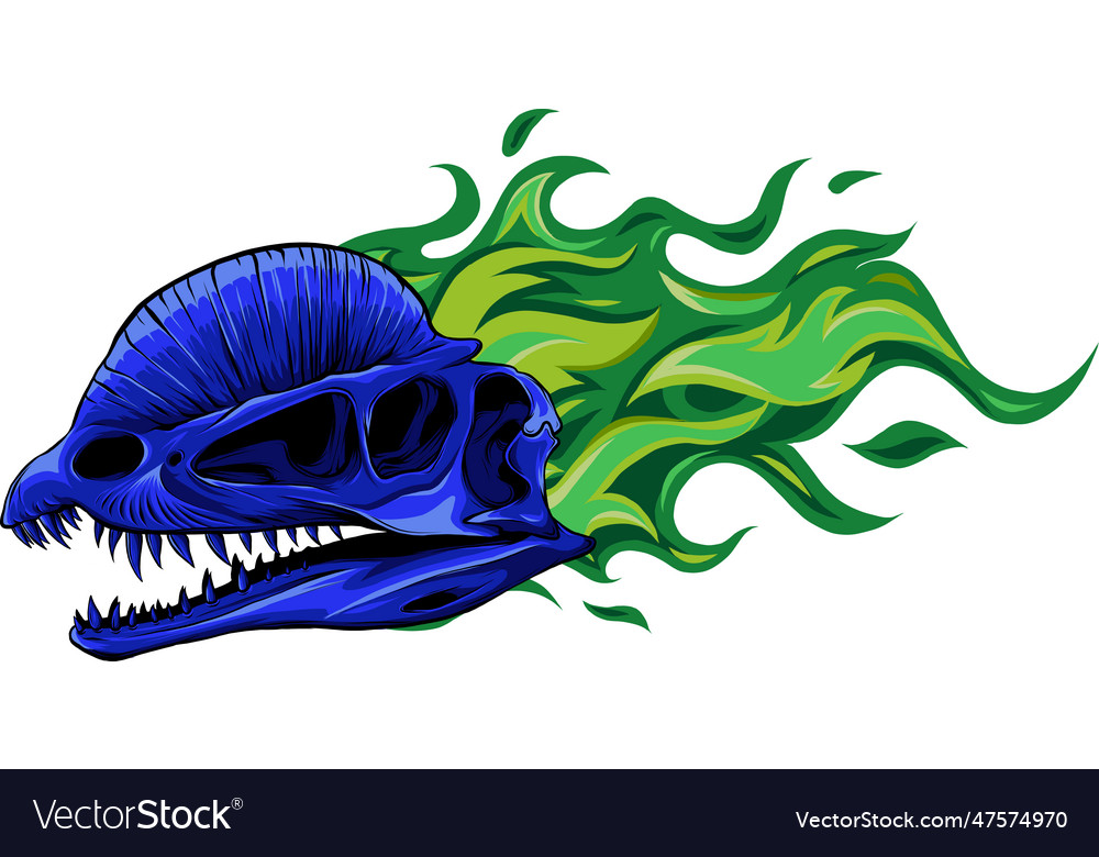 Skull of dilophosaurus dinosaur Royalty Free Vector Image
