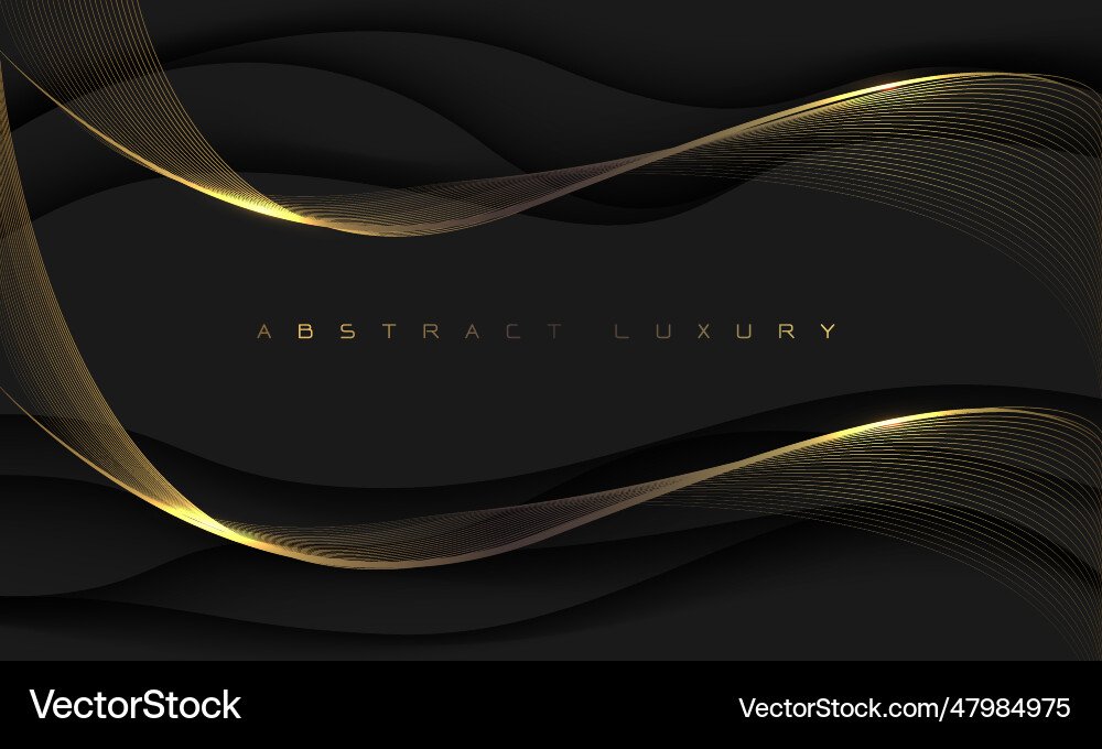 Abstract black dark gold line geometric curve Vector Image