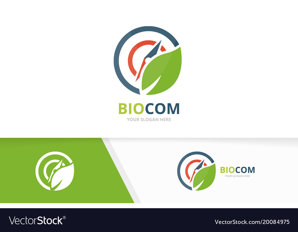 Compass and leaf logo combination Royalty Free Vector Image