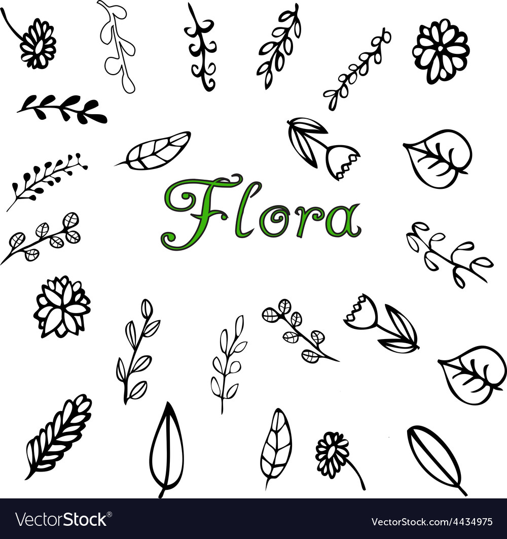 Flora Royalty Free Vector Image - VectorStock