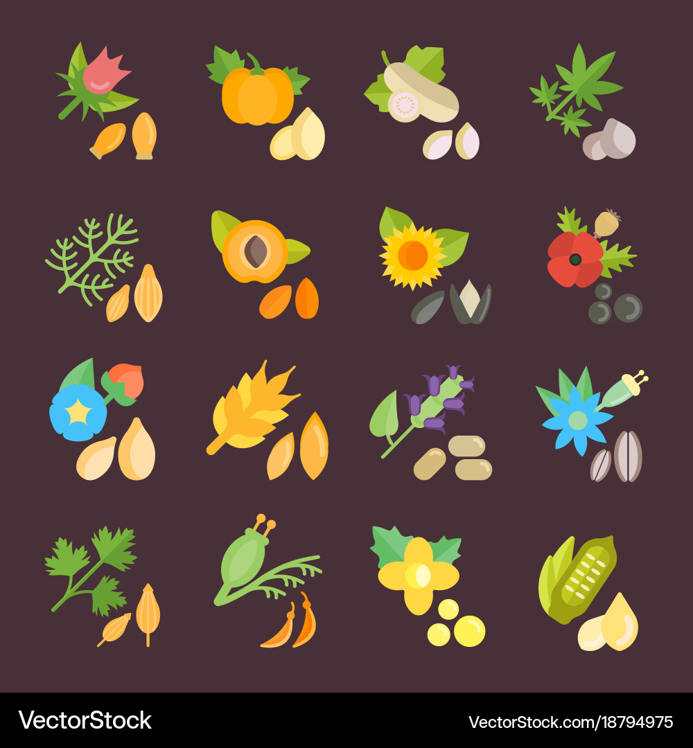 Set flat icons of seeds Royalty Free Vector Image