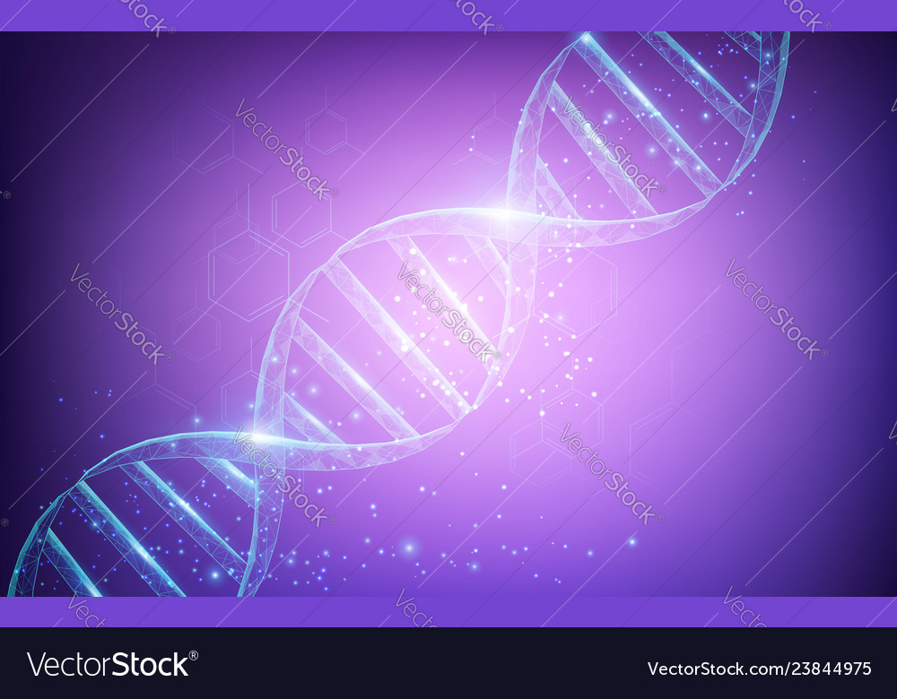Wireframe dna molecules structure mesh low poly Vector Image