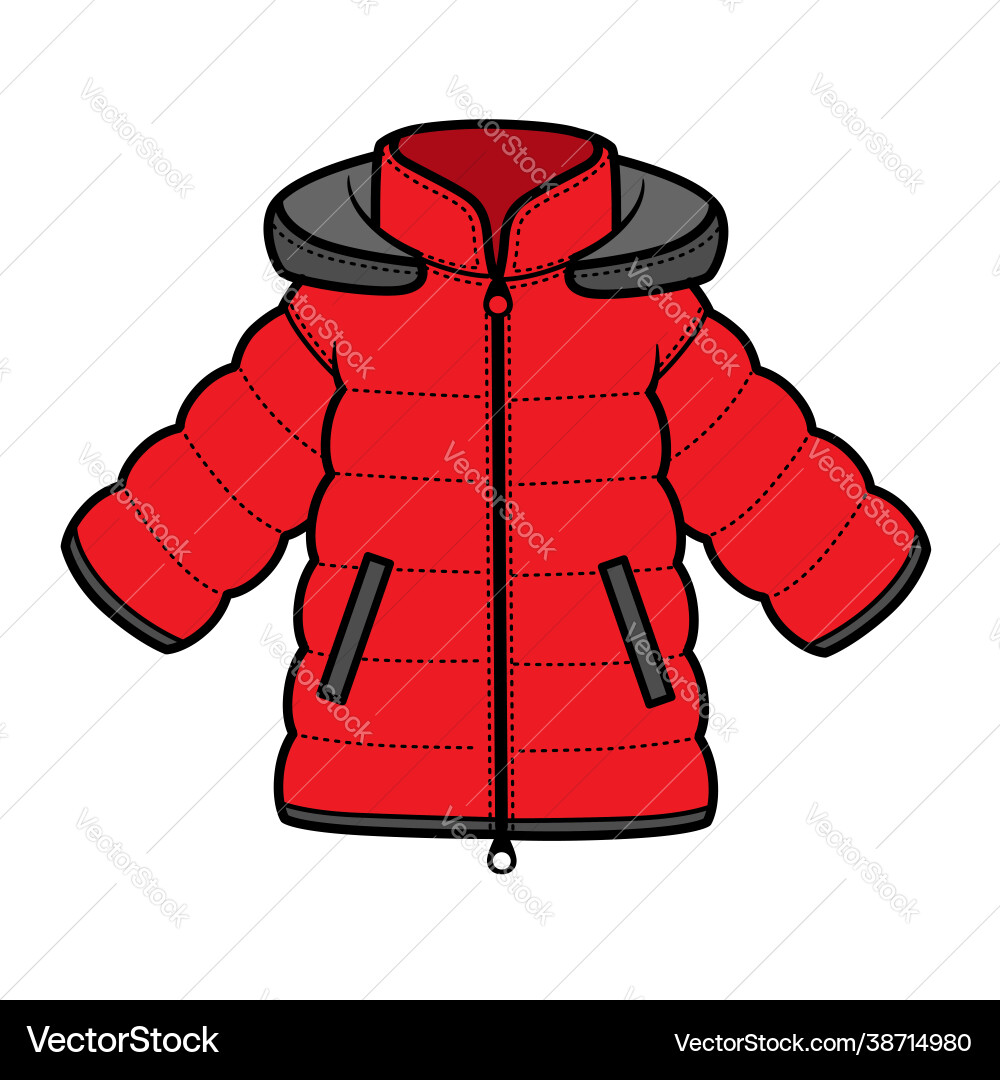 Padded downy winter jacket with hood color Vector Image
