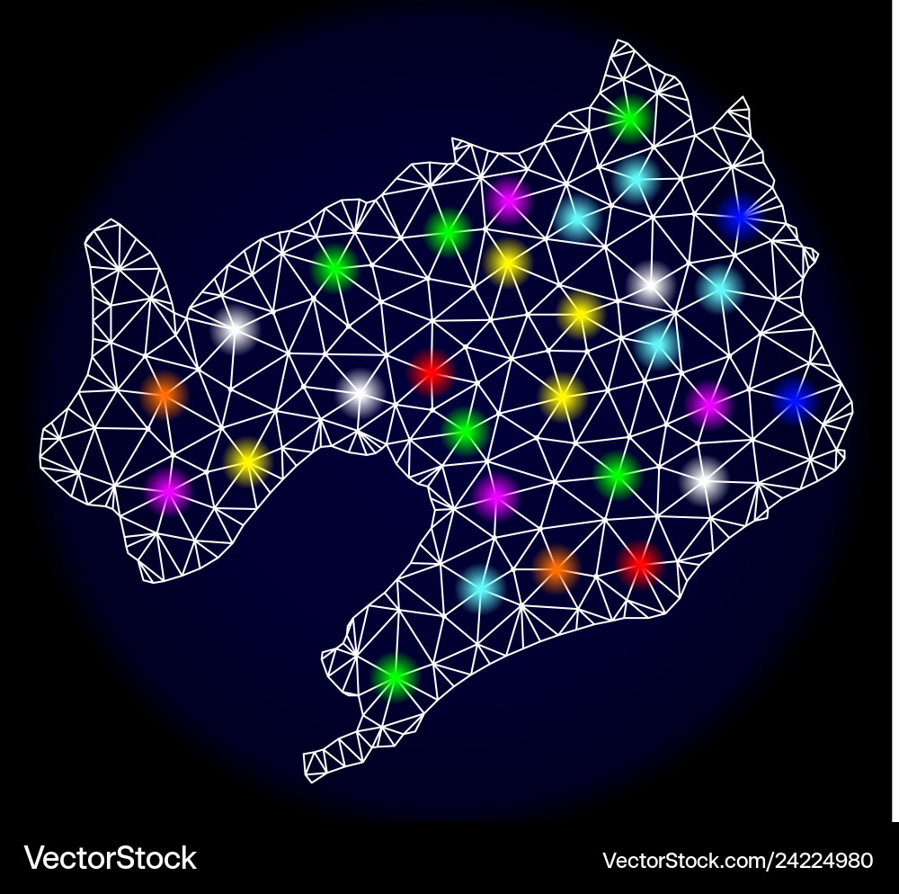 Polygonal network mesh map of liaoning province Vector Image