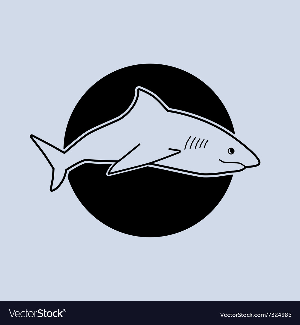 A shark Royalty Free Vector Image - VectorStock