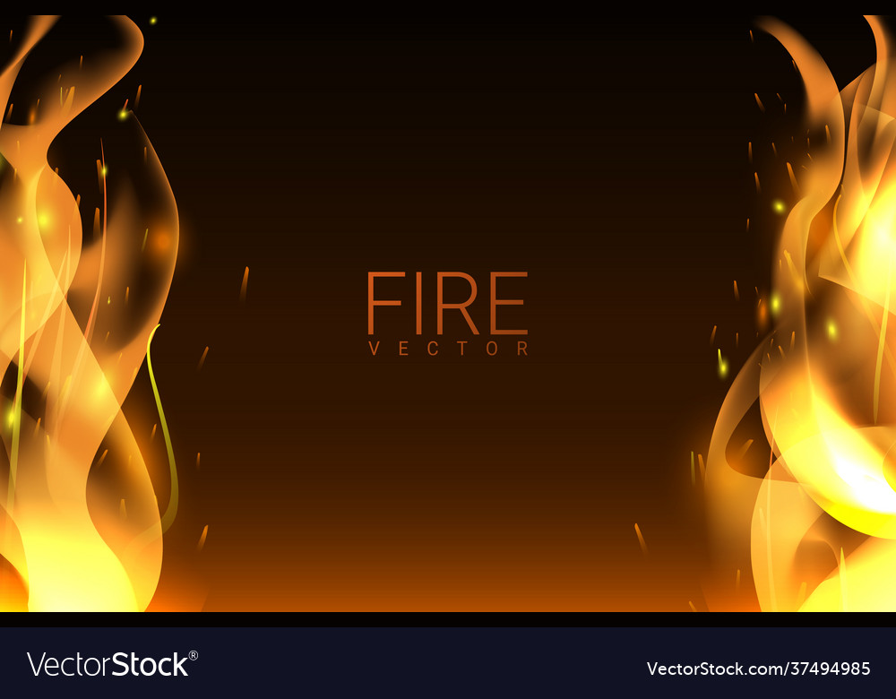 Burning fire background Royalty Free Vector Image