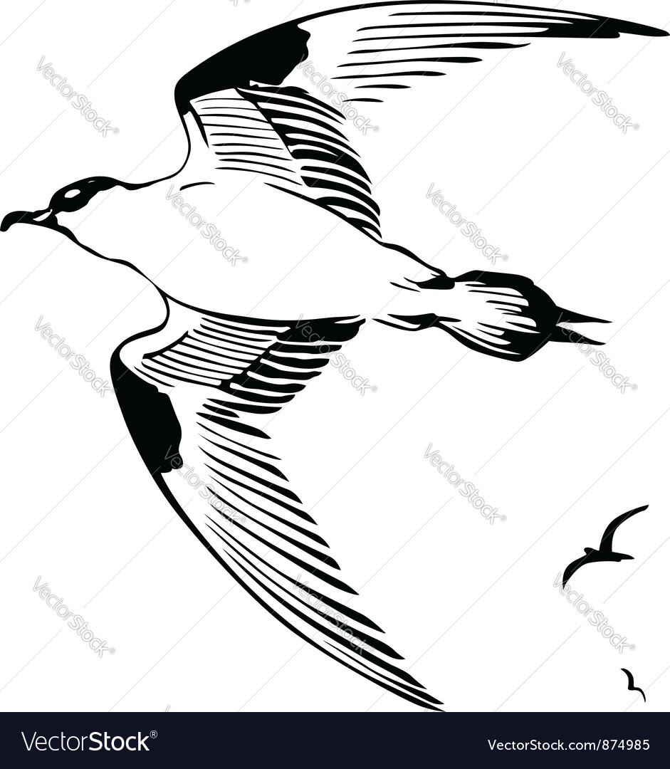 Flying bird Royalty Free Vector Image - VectorStock