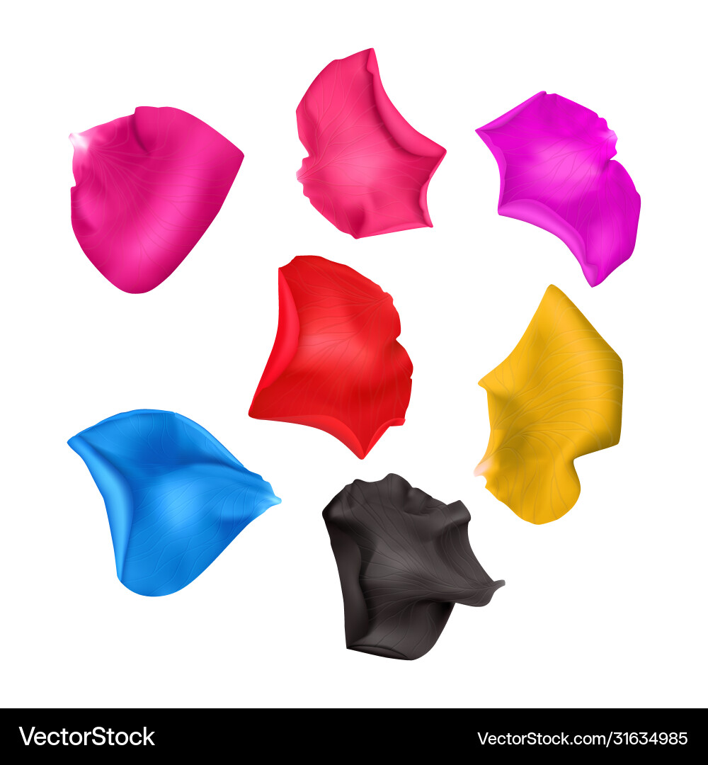 Set rose petals bright different colors close-up Vector Image