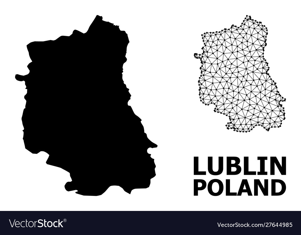 Solid and wire frame map lublin province Vector Image