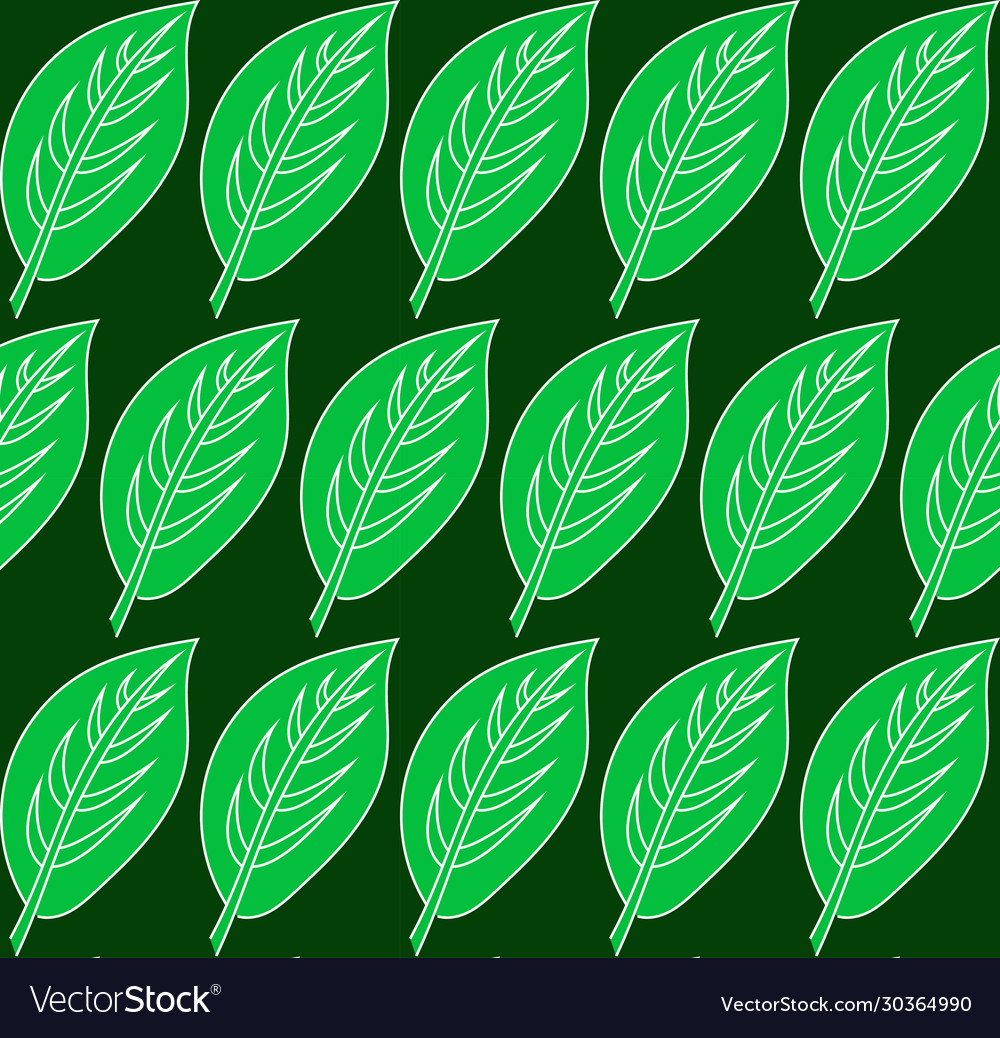 Green leaf pattern Royalty Free Vector Image - VectorStock