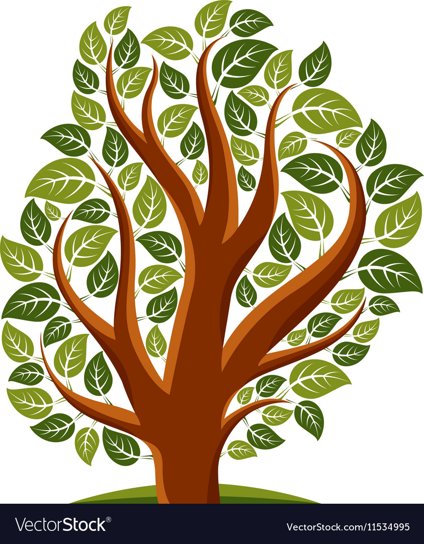 Art of tree with green leaves spring season Vector Image