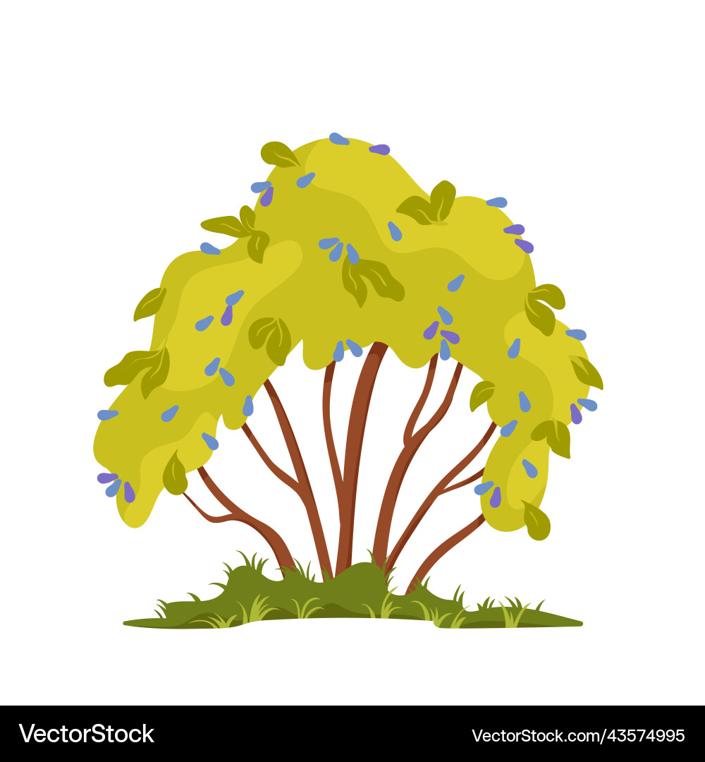 Blueberry bush isolated growing plant Royalty Free Vector